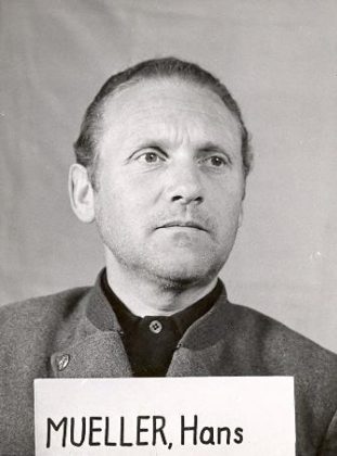 Il sistema HANS nella F1: l'innovazione che ha salvato la vita ai piloti.